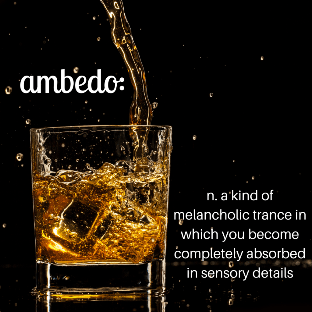 Self-Care Inspiration in the Dictionary of Obscure Sorrows: Ambedo ...
