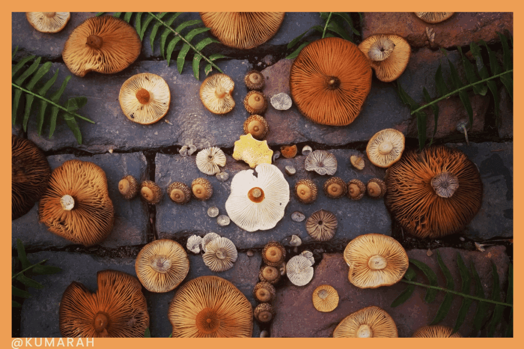 Fall Themed Kids Yoga and Mindfulness: Free Download