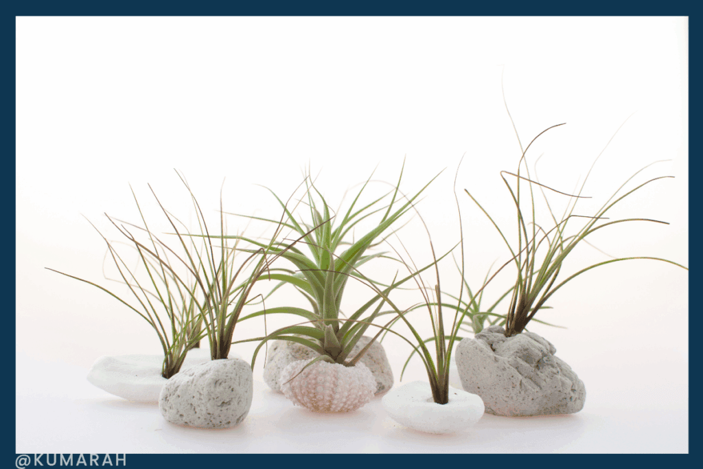 DIY Mindful Zen Garden Craft for Kids : Kumarah
