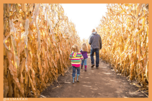 Halloween Mindfulness for Kids: Free Printable Maze, I Spy, and Word ...