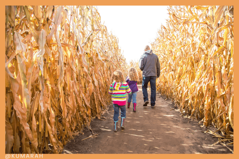 Halloween Mindfulness for Kids: Free Printable Maze, I Spy, and Word ...