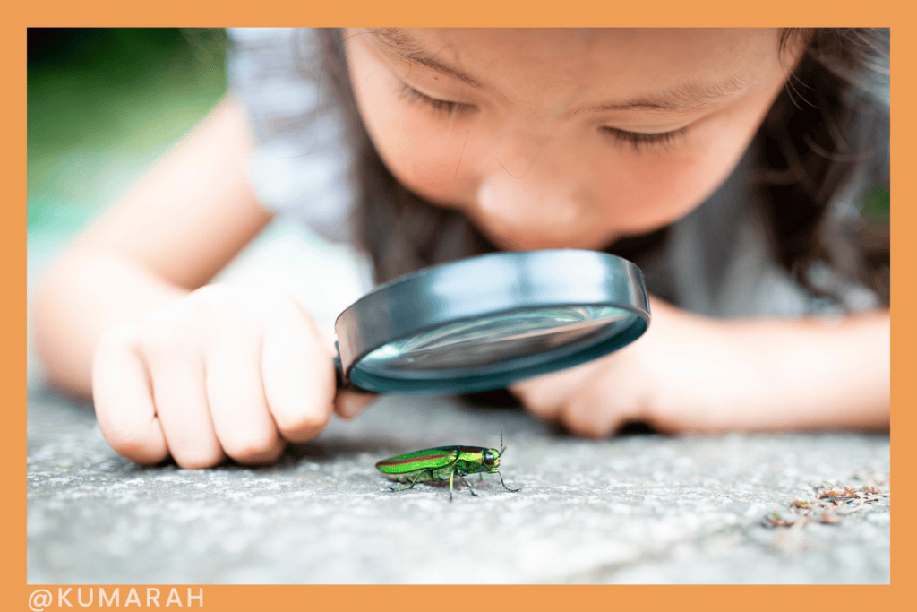 Insect Themed Yoga For Kids: a Grouchy Ladybug Lesson Plan
